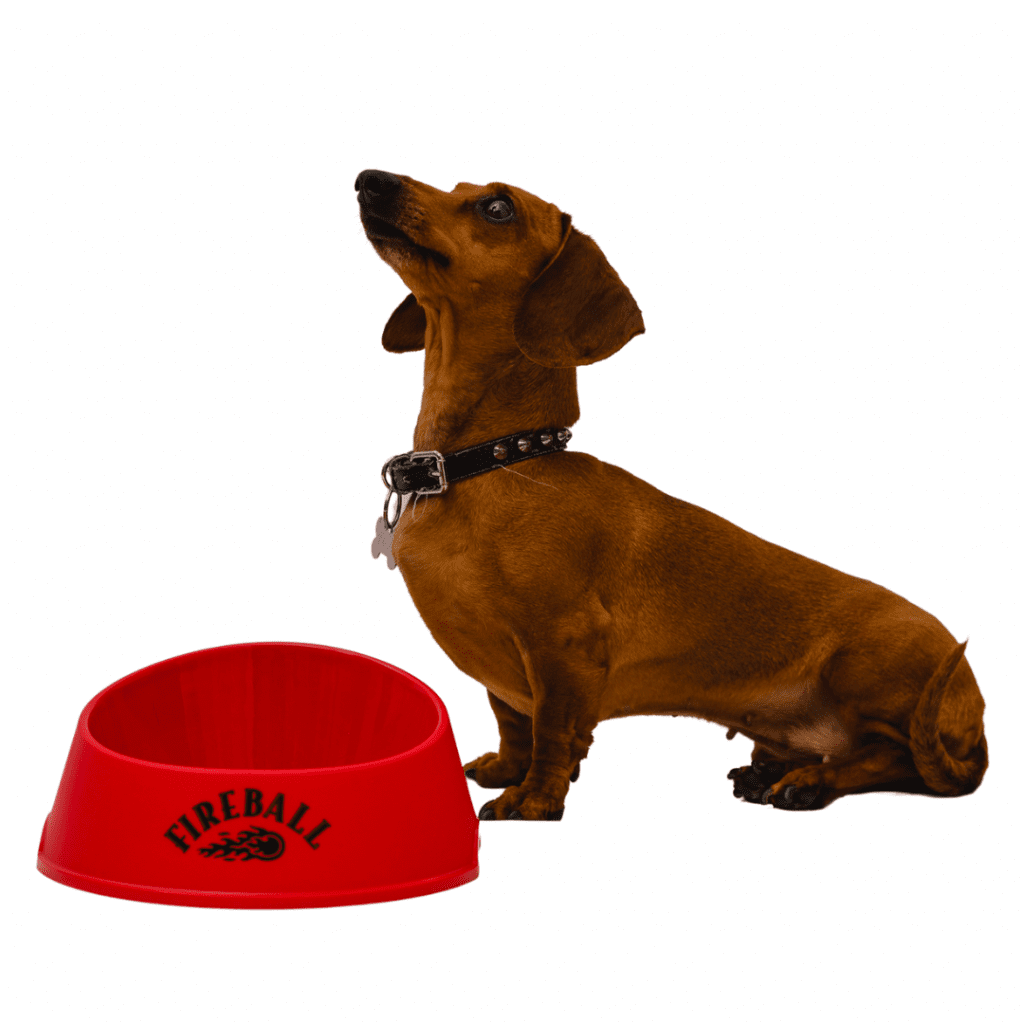 Fireball Dog Bowl - Fireball - Outdoor Fire Product - Buy Online